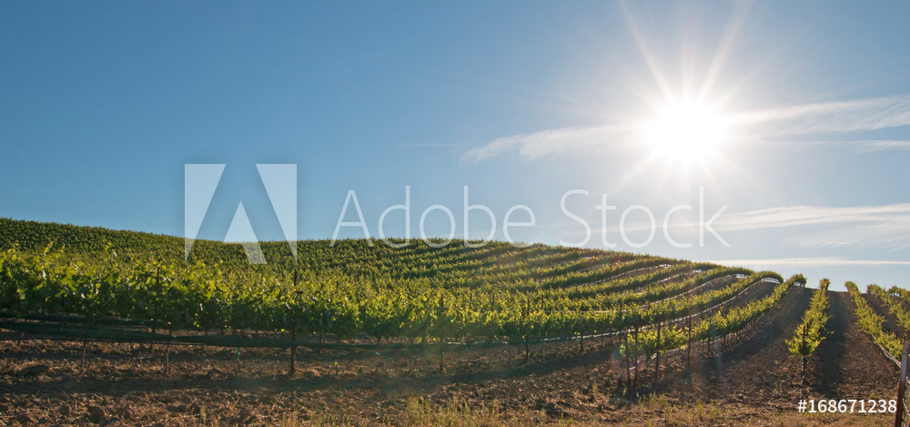 AdobeStock_168671238_Preview - Concentric