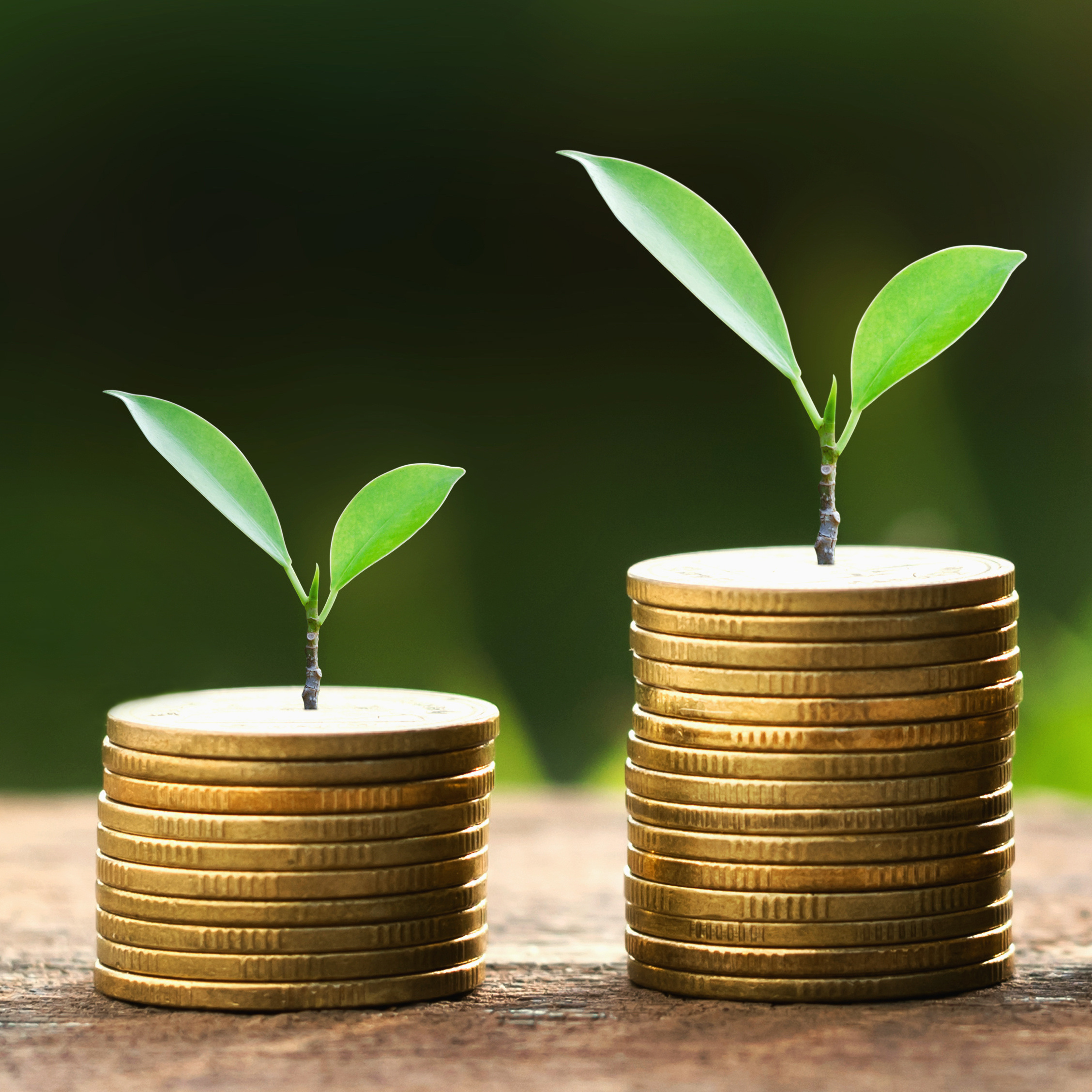 coins with money growing plant concept finance and banking - Concentric